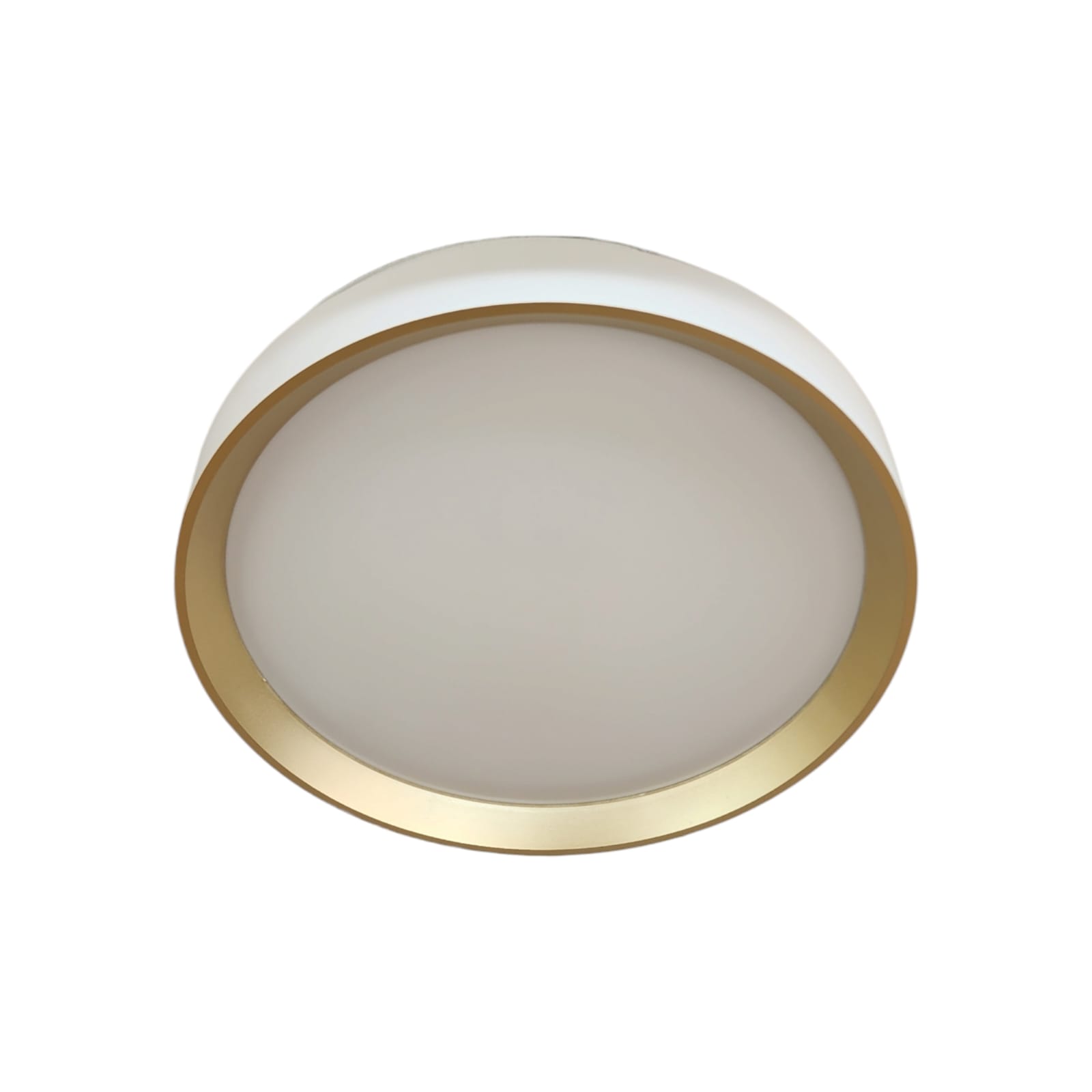 Modern Circular LED Ceiling Light