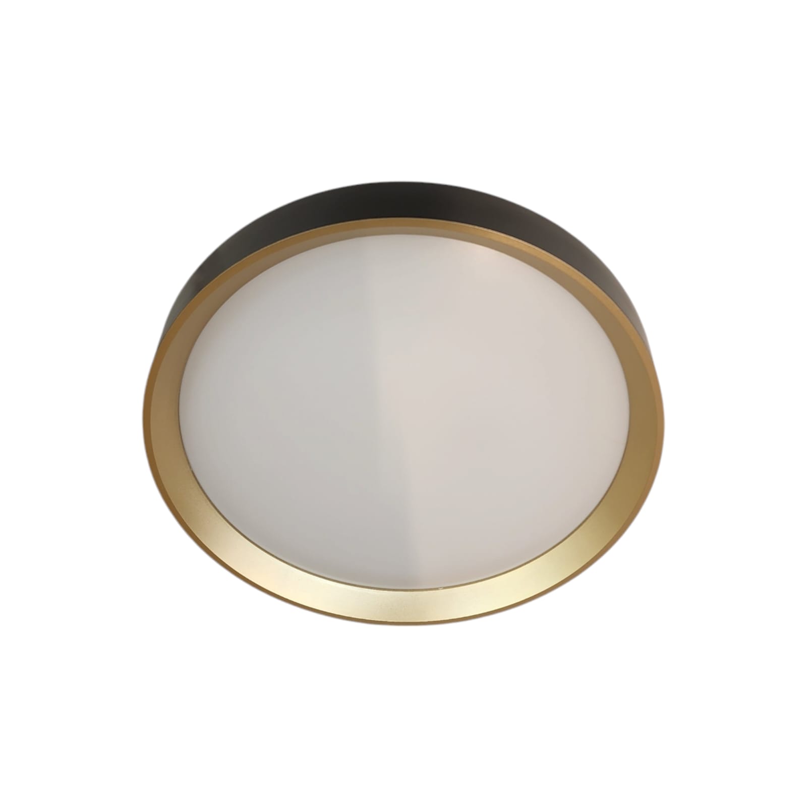 Modern Circular LED Ceiling Light